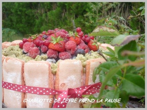 Charlotte aux biscuits roses, fromage blanc - Ça a Leyre bon