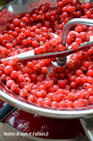 Gelée de groseilles à la menthe - Ça a Leyre bon