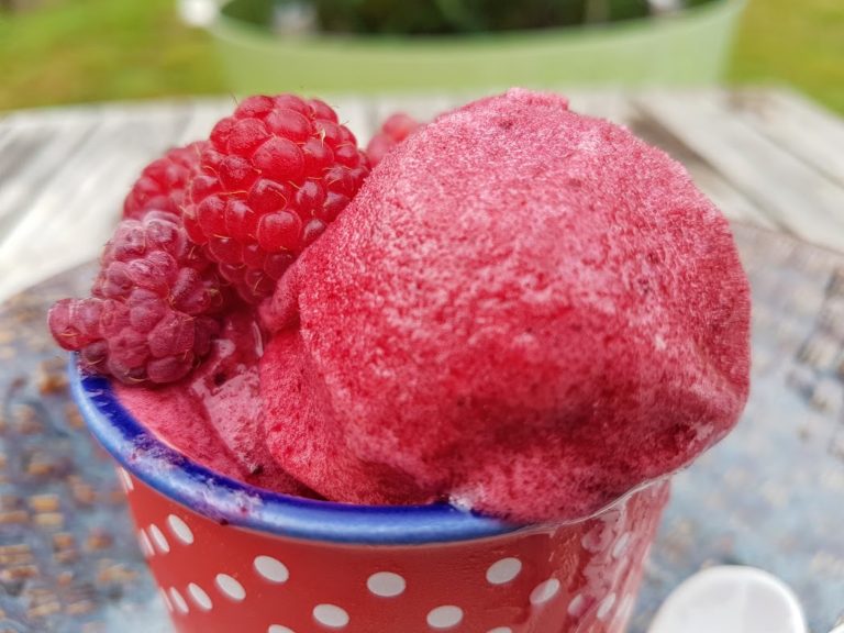 Sorbet crémeux aux fruits rouges surgelés - Ça a Leyre bon