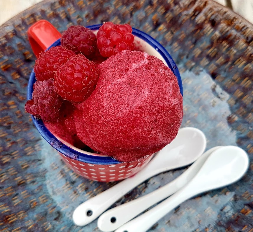 Sorbet crémeux aux fruits rouges surgelés - Ça a Leyre bon